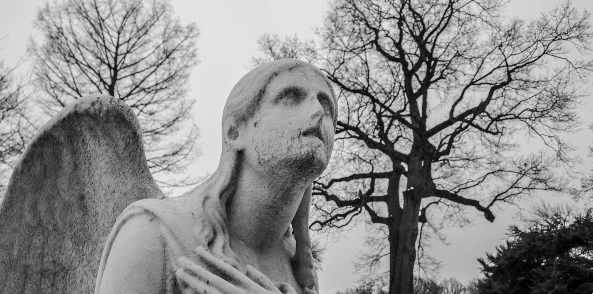 7 Tips voor liefdevolle rouwverwerking en zelfzorg - Bloeise